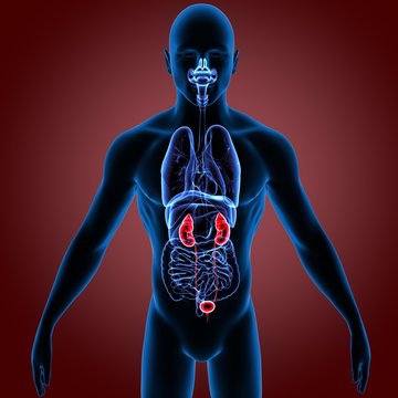 รูปภาพInflammated – เลือกดูภาพถ่ายสต็อก เวกเตอร์ และวิดีโอ92 | Adobe Stock