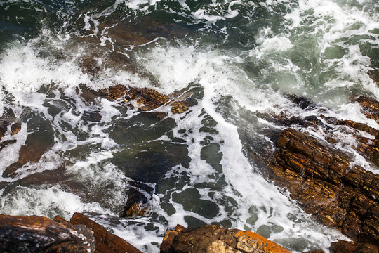 Cacadu Images – Browse 48 Stock Photos, Vectors, and Video | Adobe Stock