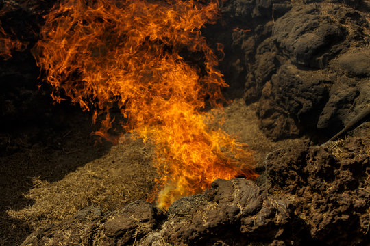 รูปภาพGeiser – เลือกดูภาพถ่ายสต็อก เวกเตอร์ และวิดีโอ1,192 | Adobe Stock
