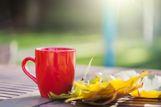 6875 Images Browse 41 Stock Photos Vectors And Video Adobe Stock