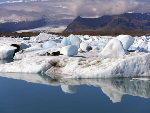 Treibeis bilder – Bläddra bland 1,640 stockfoton, vektorer och videor ...