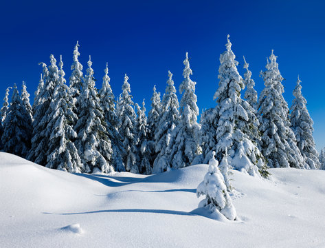 รูปภาพSchneelandschaft – เลือกดูภาพถ่ายสต็อก เวกเตอร์ และวิดีโอ18,088 ...