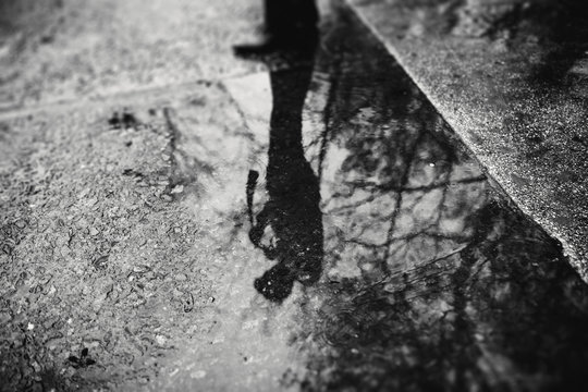 Wooer Images – Parcourir 3,105 le catalogue de photos, vecteurs et ...