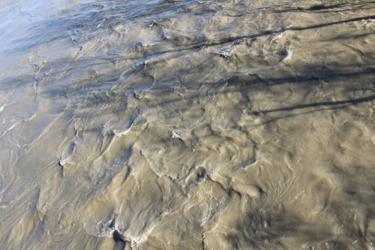 Impure Images – Browse 1,428 Stock Photos, Vectors, and Video | Adobe Stock