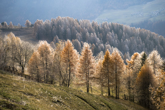 "Poca Images – Browse 408 Stock Photos, Vectors, and Video | Adobe Stock