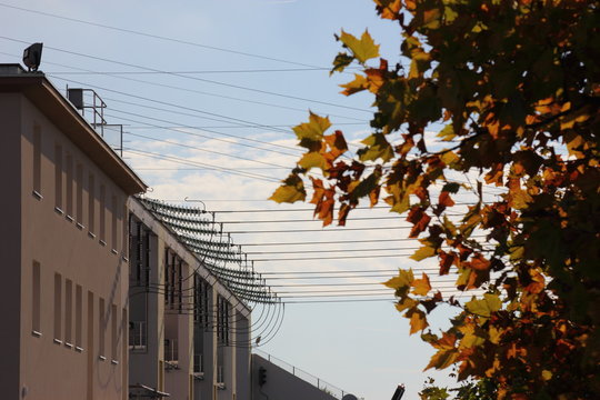 Fessen Bilder – Durchsuchen 40 Archivfotos, Vektorgrafiken und Videos ...