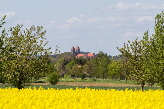 Hinnel Images – Browse 31 Stock Photos, Vectors, and Video | Adobe Stock