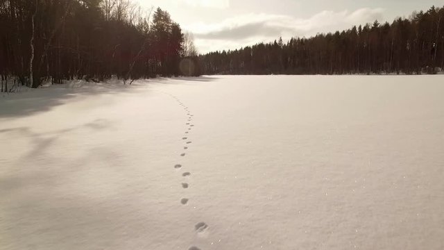 "Rabbit Tracks" Images – Browse 66 Stock Photos, Vectors, and Video ...