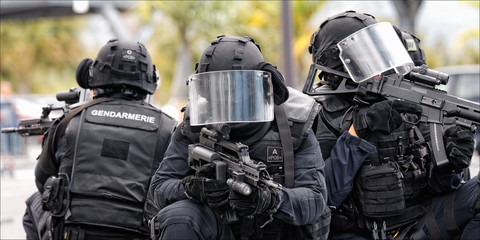 Photos, illustrations et vidéos de gign