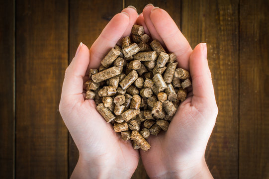 Wood-Pellet Bilder – Durchsuchen 370 Archivfotos, Vektorgrafiken und ...