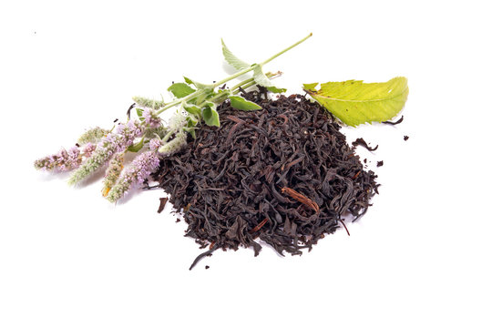 Mentholum Images – Browse 16 Stock Photos, Vectors, and Video | Adobe Stock