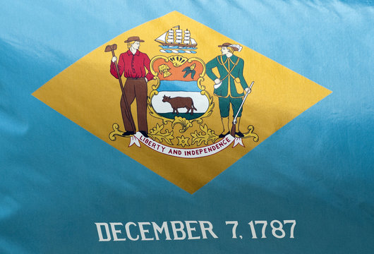 Delaware State Flag Coloring Page