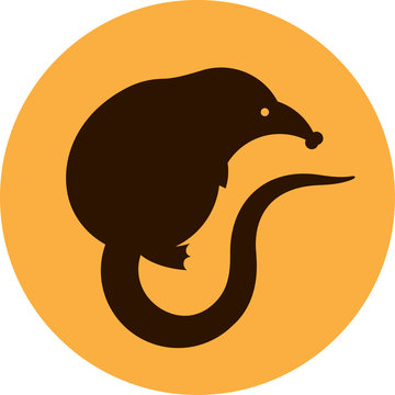 Desman Images – Browse 213 Stock Photos, Vectors, and Video | Adobe Stock