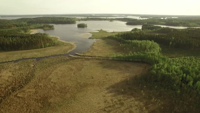 Hypertrophication bilder – Bläddra bland 2,495 stockfoton, vektorer och ...