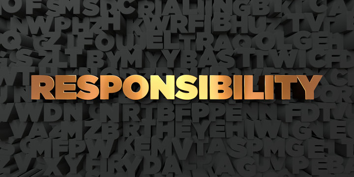 Responsibility Images – Browse 2,137,027 Stock Photos, Vectors, and ...
