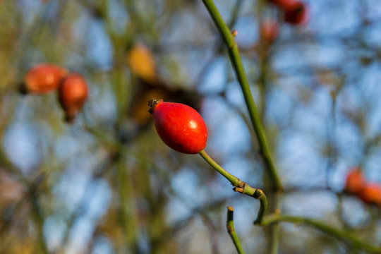 Hiffen Bilder – Durchsuchen 326 Archivfotos, Vektorgrafiken und Videos ...