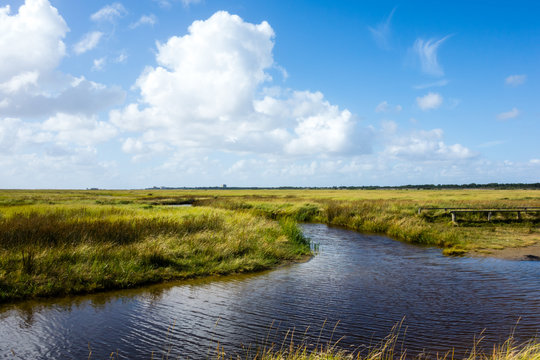 Priel Images – Parcourir 2,398 le catalogue de photos, vecteurs et ...