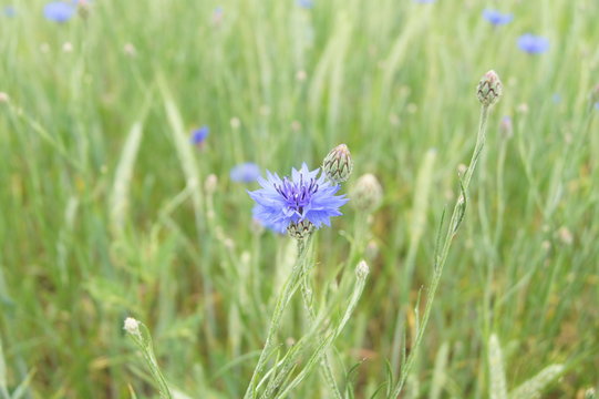 Modrak Images – Browse 33 Stock Photos, Vectors, and Video | Adobe Stock