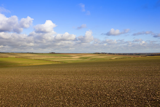 "Extensive Farming" Images – Browse 257 Stock Photos, Vectors, and ...