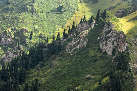 Microclimate Images – Browse 4,495 Stock Photos, Vectors, and Video ...