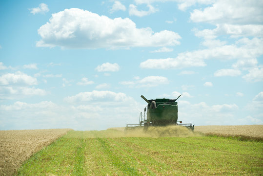 Agronomy Images – Browse 341,609 Stock Photos, Vectors, and Video ...