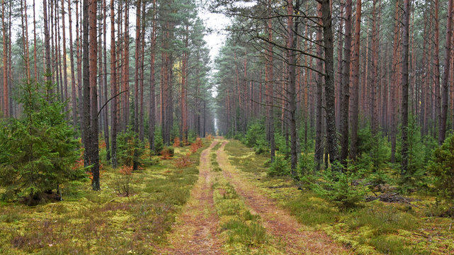 "Las Iglasty"-Bilder: Stock-Fotos & -Videos. | Adobe Stock