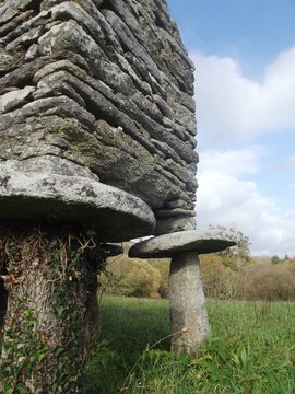 Labriego Images – Browse 41 Stock Photos, Vectors, and Video | Adobe Stock