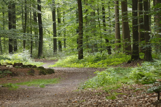 Syke Bilder – Durchsuchen 145 Archivfotos, Vektorgrafiken und Videos ...