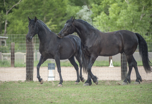 Warlander bilder – Bläddra bland 29 stockfoton, vektorer och videor ...