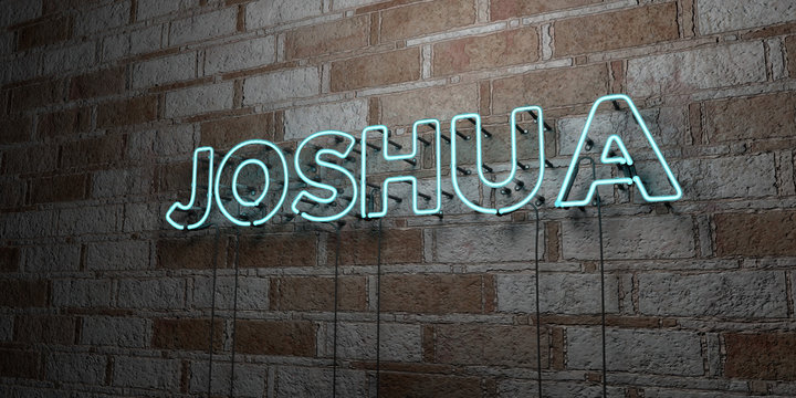 รูปภาพJoshua – เลือกดูภาพถ่ายสต็อก เวกเตอร์ และวิดีโอ34,230 | Adobe Stock