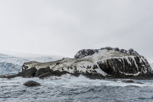 รูปภาพ"Elephant Island" – เลือกดูภาพถ่ายสต็อก เวกเตอร์ และวิดีโอ294 ...