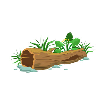 Cartoon Hollow Log