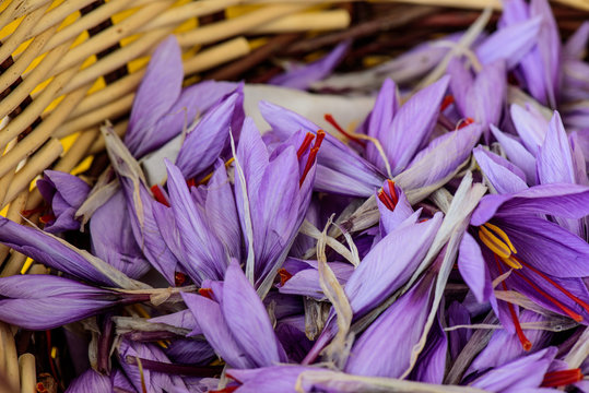 Lilla Bilder – Durchsuchen 5,875 Archivfotos, Vektorgrafiken und Videos ...