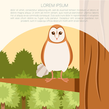 Church-Owl Images – Browse 41 Stock Photos, Vectors, and Video | Adobe ...