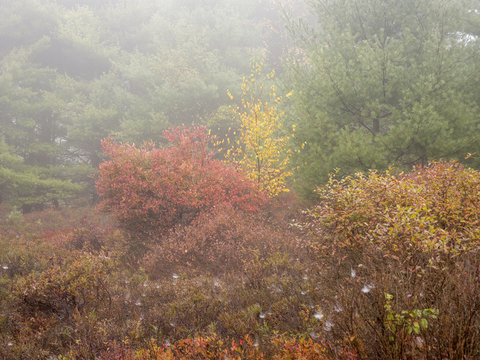 Autumn bilder – Bläddra bland 14,600,541 stockfoton, vektorer och ...