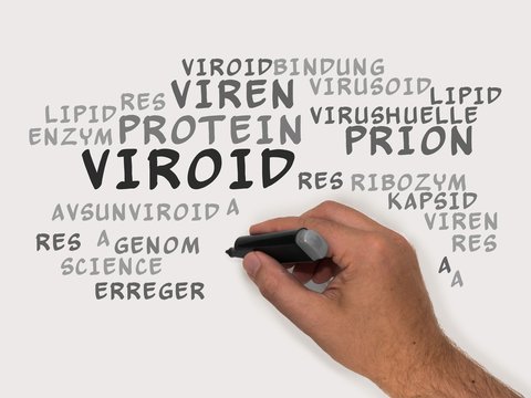 Viroid Bilder – Durchsuchen 908 Archivfotos, Vektorgrafiken und Videos ...