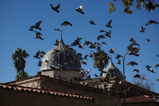 รูปภาพMinare – เลือกดูภาพถ่ายสต็อก เวกเตอร์ และวิดีโอ1,977 | Adobe Stock