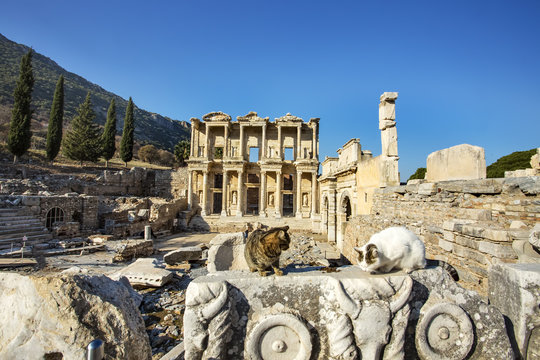 "Efes Antik Kenti" Imagens – Procure 225 fotos, vetores e vídeos ...