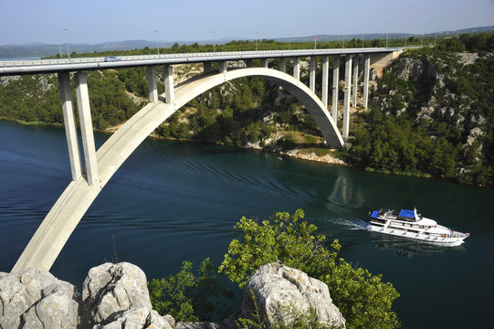 Schimmen Bilder – Durchsuchen 105 Archivfotos, Vektorgrafiken und ...