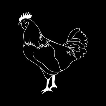 Alectryon Bilder – Durchsuchen 18 Archivfotos, Vektorgrafiken und ...