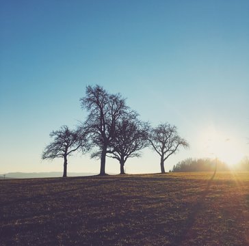 รูปภาพStreu – เลือกดูภาพถ่ายสต็อก เวกเตอร์ และวิดีโอ3,202 | Adobe Stock