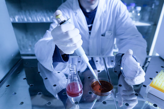 Biologo 이미지 – 찾아보기 301 스톡 사진, 벡터 및 비디오 | Adobe Stock