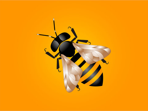 599 BEST "Bee Vector" IMAGES, STOCK PHOTOS & VECTORS | Adobe Stock
