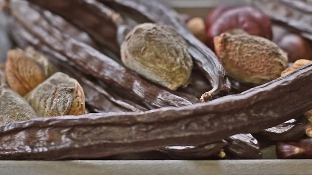 Charob Images – Browse 30 Stock Photos, Vectors, and Video | Adobe Stock