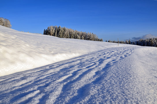 Scnee Bilder – Durchsuchen 62 Archivfotos, Vektorgrafiken und Videos ...