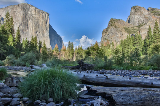 Fotolia - Images et vidéos libres de droits | Adobe Stock