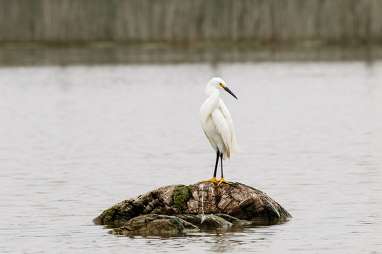 「Erget」の写真素材 | 112件の無料イラスト画像 | Adobe Stock