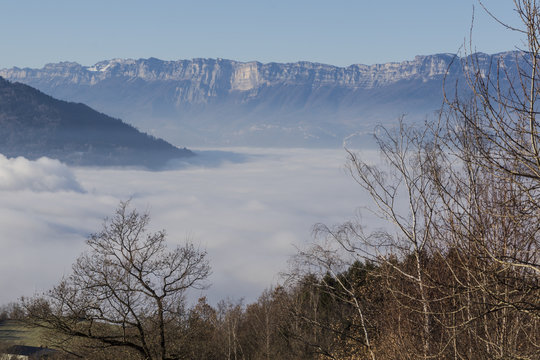 "La Table" Images – Browse 50 Stock Photos, Vectors, and Video | Adobe ...