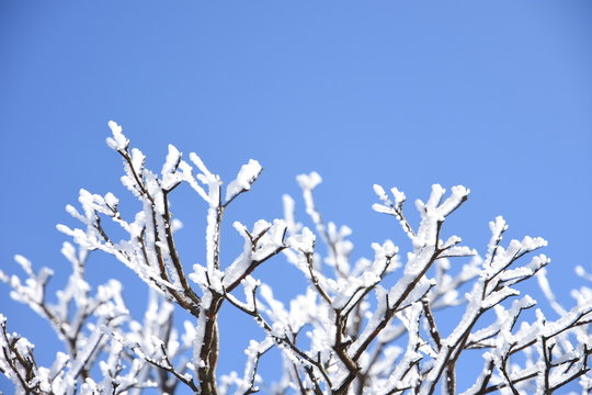 "Soft Rime" Images – Browse 17,291 Stock Photos, Vectors, and Video ...