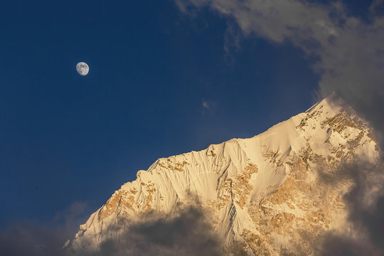 「Chumbu」の写真素材 | 225件の無料イラスト画像 | Adobe Stock